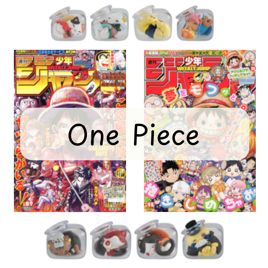 One Piece – Dear Japan